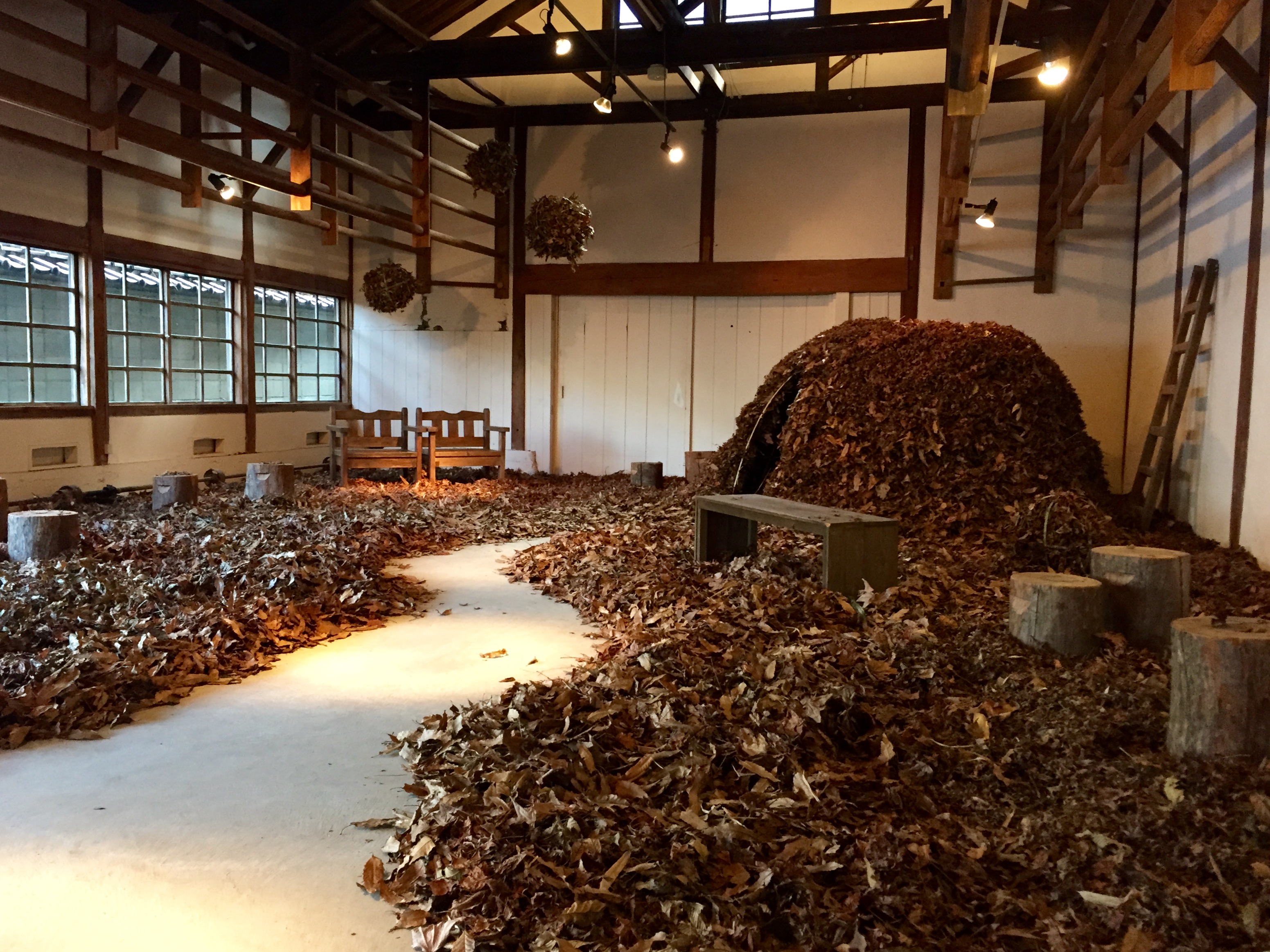 happy 2015!!! | モンネポルト monné porte